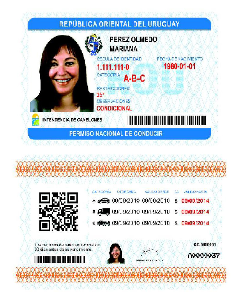 Driver’s license – Aldo’s Relocation Service